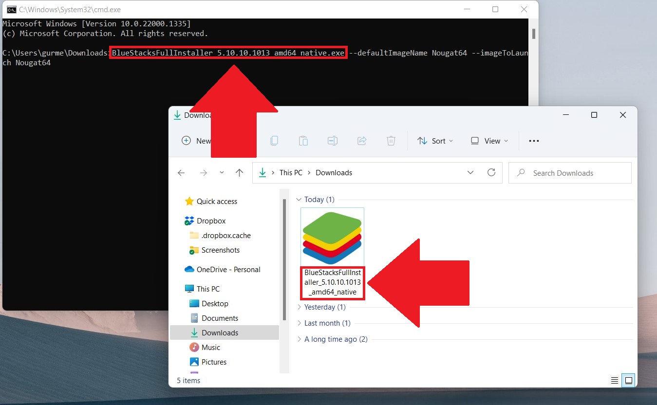 BlueStacks 5 offline installer – BlueStacks Support