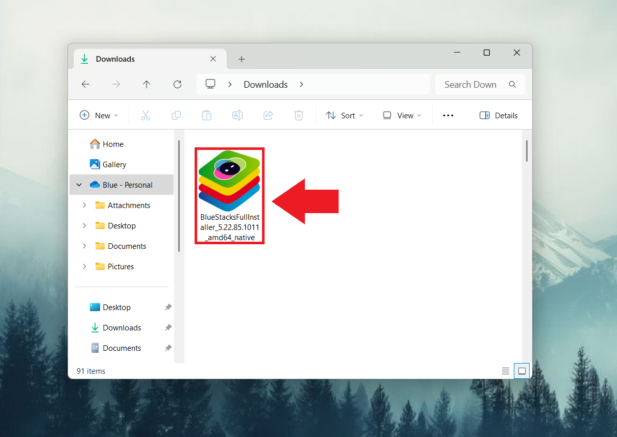BlueStacks 5 offline installer – BlueStacks Support