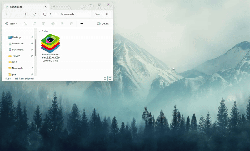 BlueStacks 5 offline installer – BlueStacks Support