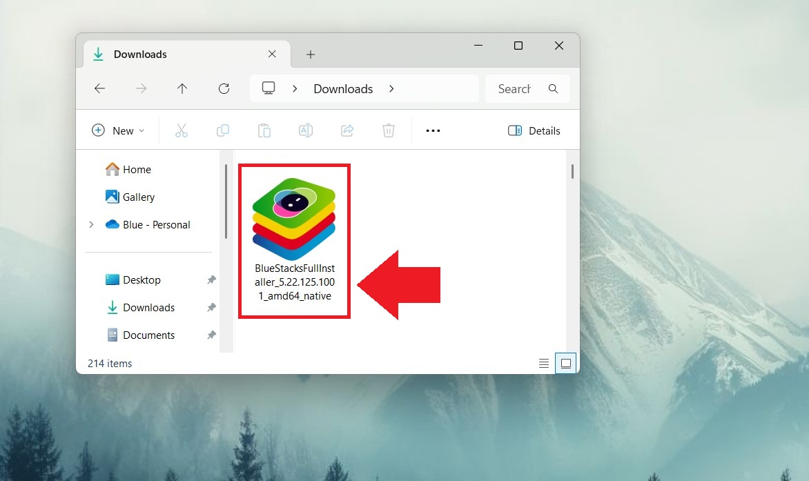 BlueStacks 5 offline installer – BlueStacks Support