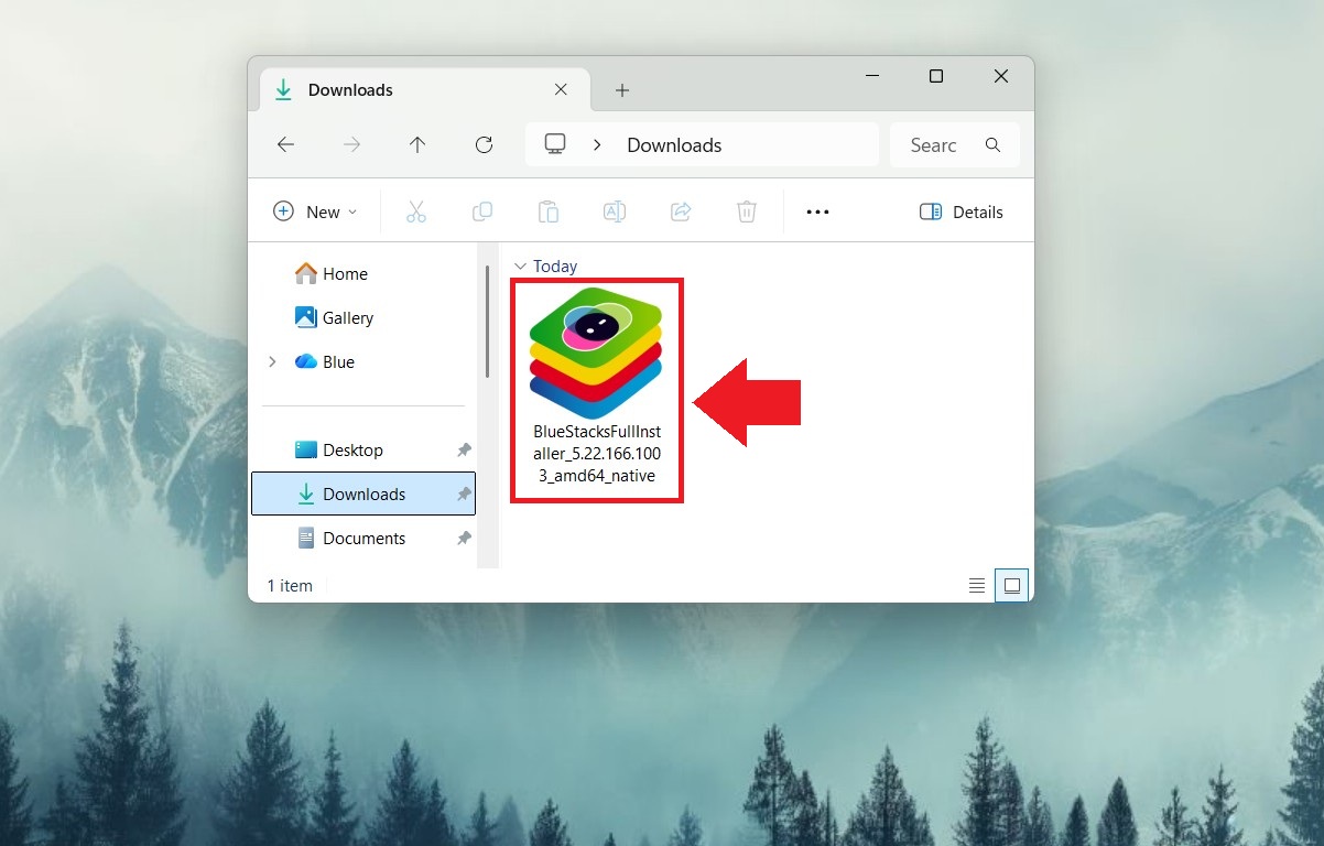 BlueStacks 5 offline installer – BlueStacks Support